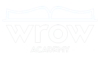 Wrow Academy Módulo 03.01 - Tráfico - Wrow
